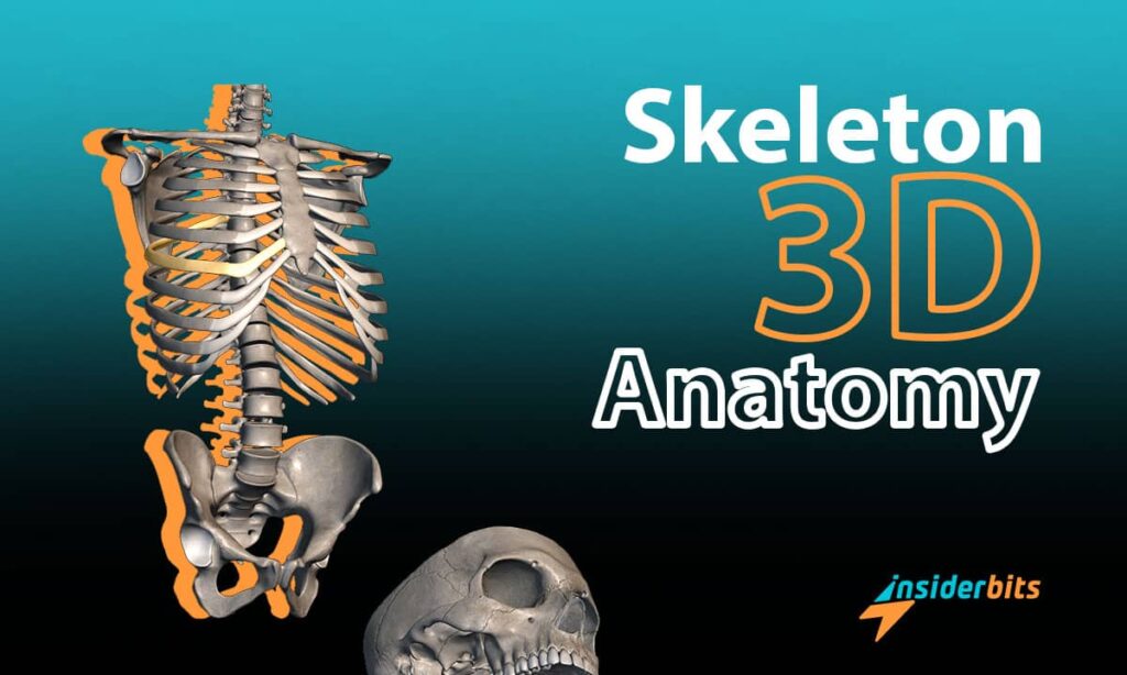 The Perfect App to Study the Human Body | Insiderbits