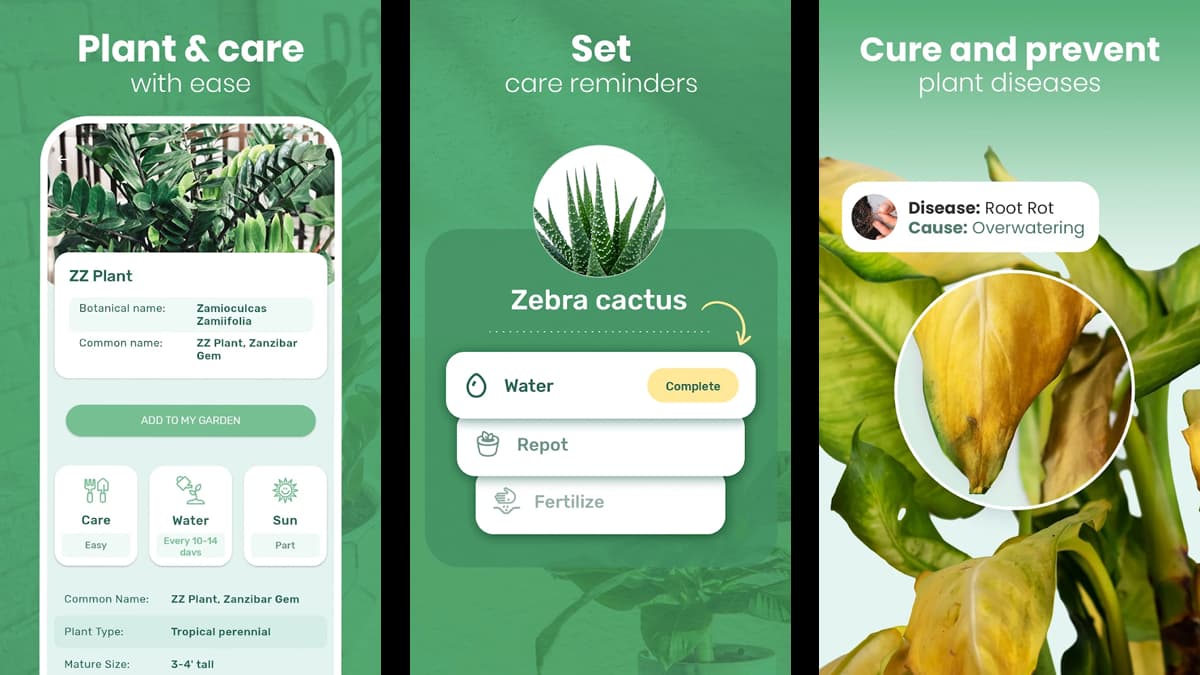 Plant Identification with the Blossom App | Insiderbits