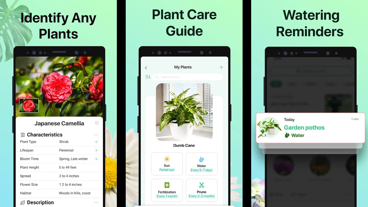Gardening and Plant Identification Apps | Insiderbits