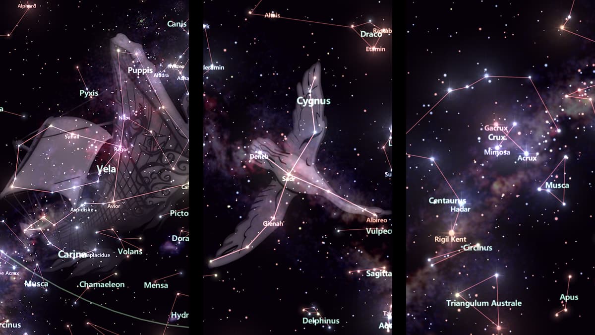 The Best Space Exploration Apps | Insiderbits