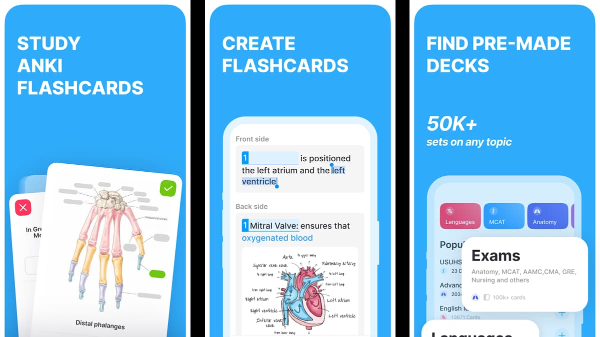 Best Flashcard Apps | Insiderbits