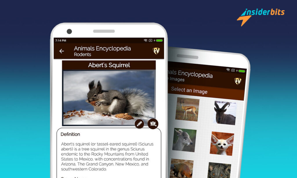 Animal Encyclopedia and Wildlife Apps | Insiderbits