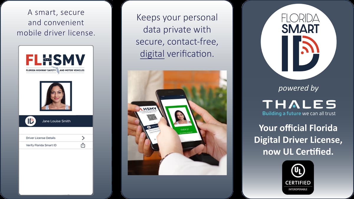 Get Your Florida Digital Driver's License | Insiderbits