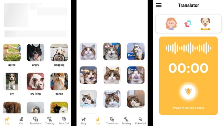 Dog and Cat Translator App! | Insiderbits