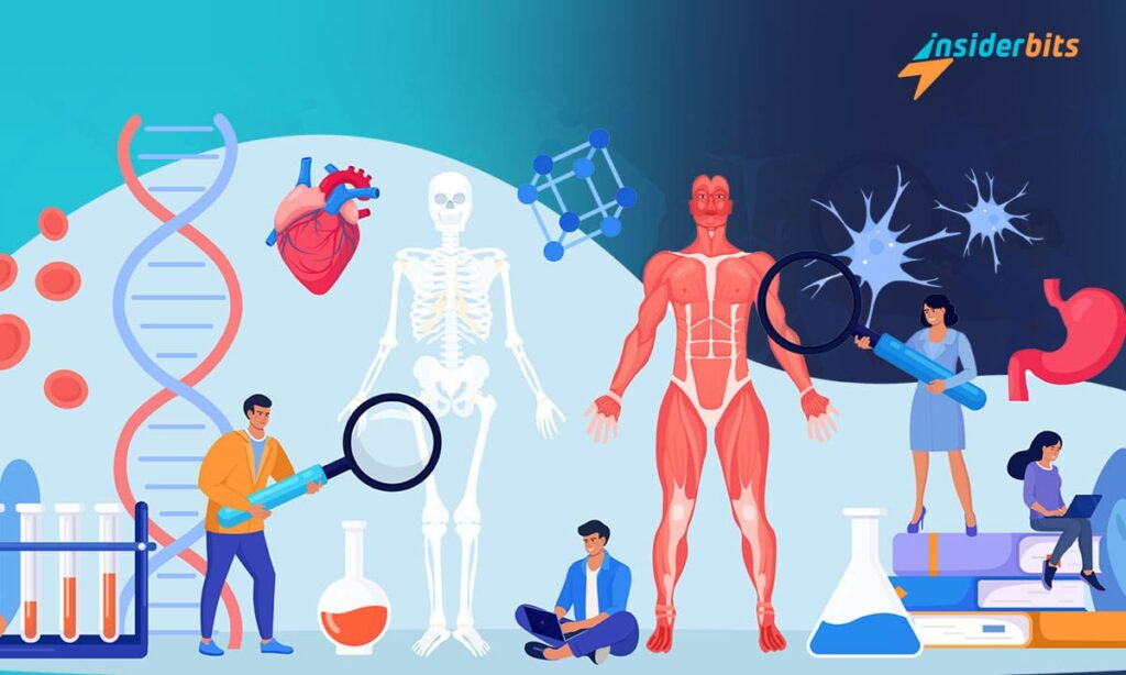 University Anatomy And Physiology Courses | Insiderbits
