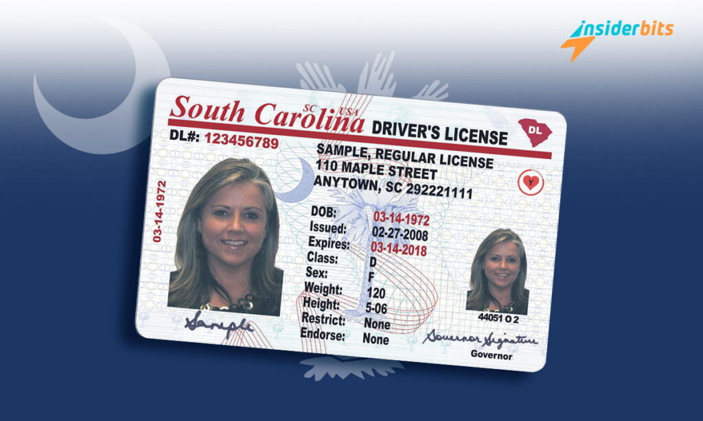 Driver's License in South Carolina | Insiderbits
