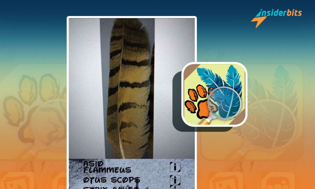 Animal Tracks Identifier: Know What's Lurking Around Your Home ...