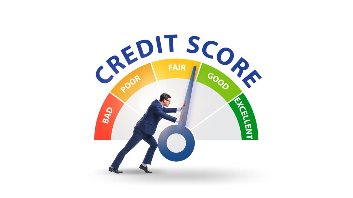 How To Check Your Credit Score Using Your SSN | Insiderbits