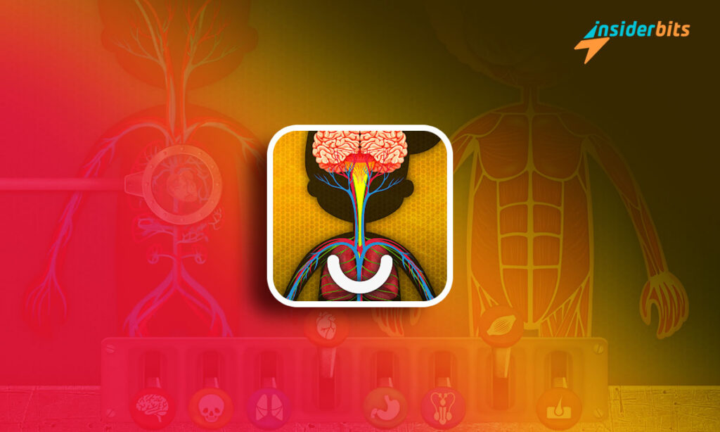 Learn Anatomy With This Human Body App | Insiderbits