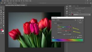Change the Color of an Image in Photoshop | Insiderbits