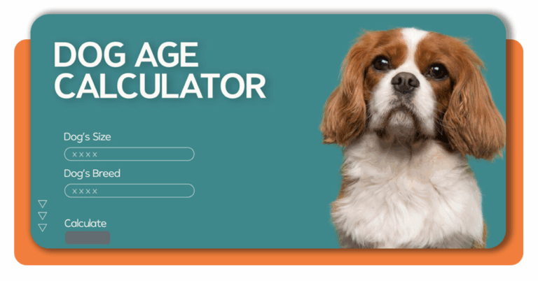 Pet Age Calculator: Discover Your Pet’s Real Age Today