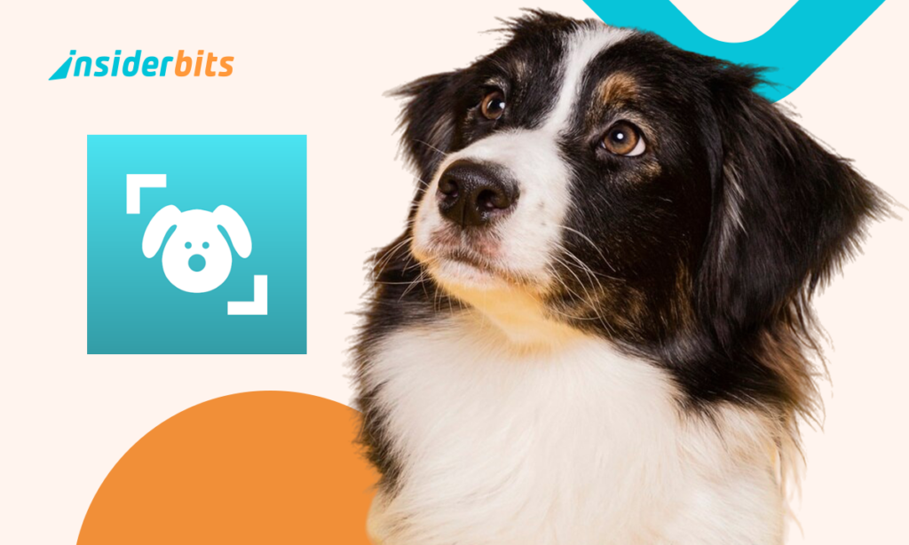 Dog Breed Analyzer: Identify Your Dog’s Mix With One Photo
