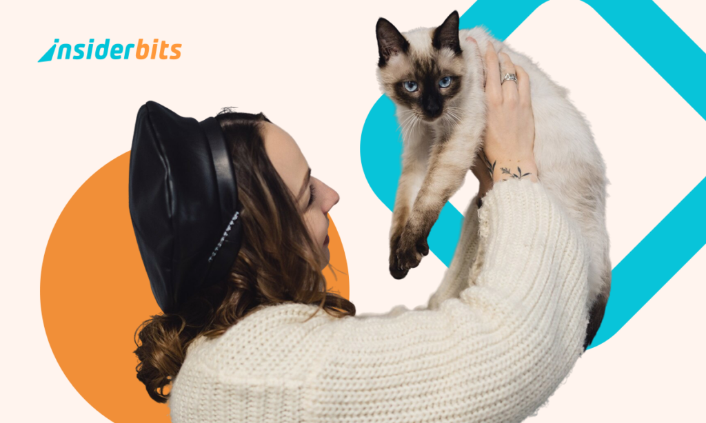 Cat games app: Have fun playing with your cats using this app